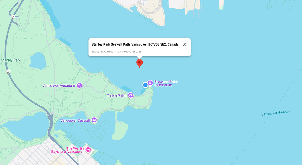Google reverse geocoding: Get addresses from coordinates