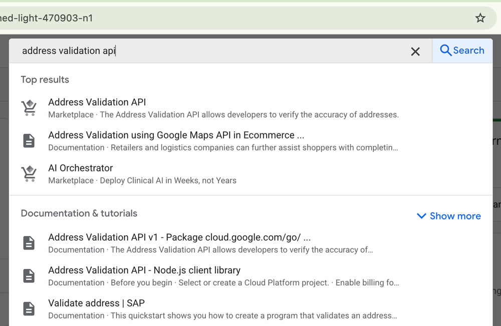 Fix bad addresses with the Google Address Validation API