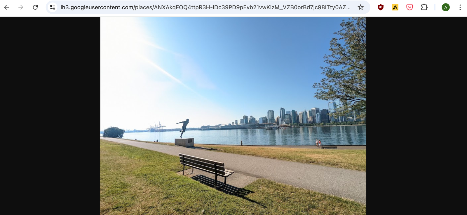 Google Place Details and Place Photos API